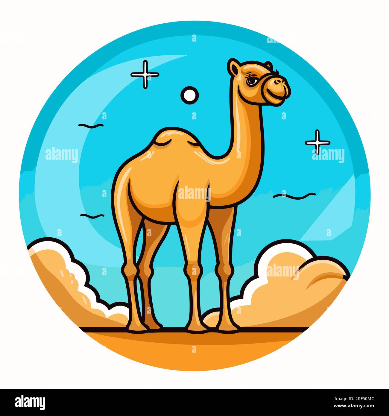 Dromedary cub Stock Vector Images - Alamy
