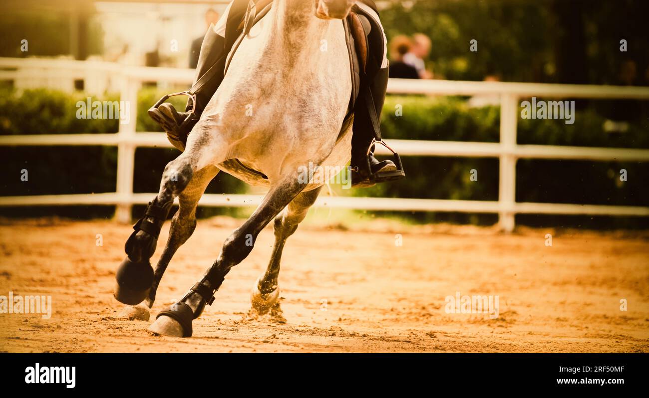 Photo of the hooves of a dappled gray horse galloping across a sandy ...