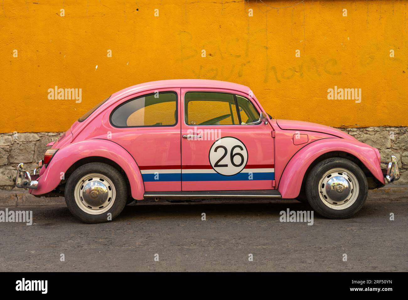 Beetle urban adventure hi-res stock photography and images - Alamy