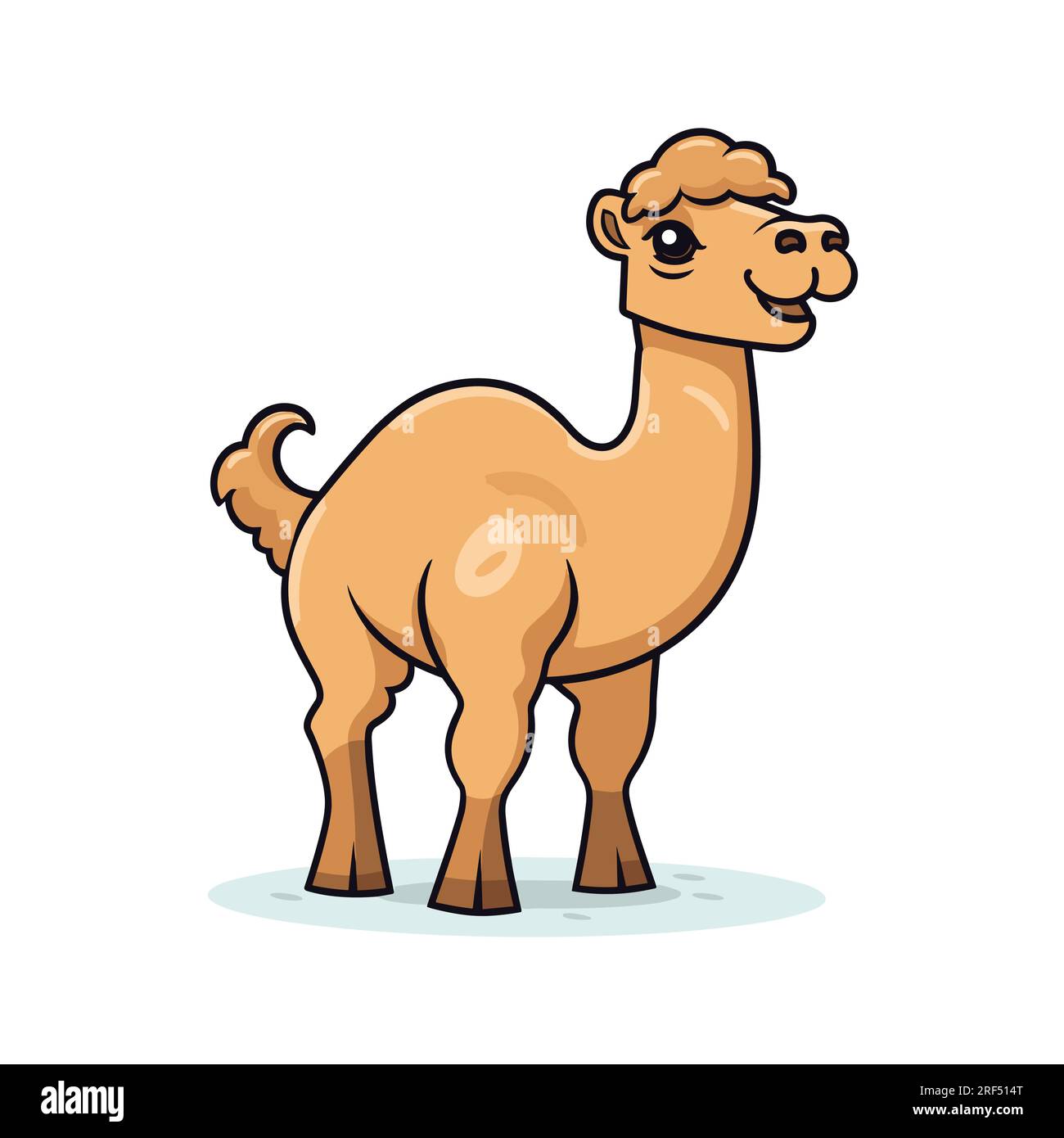 Dromedary cub Stock Vector Images - Alamy