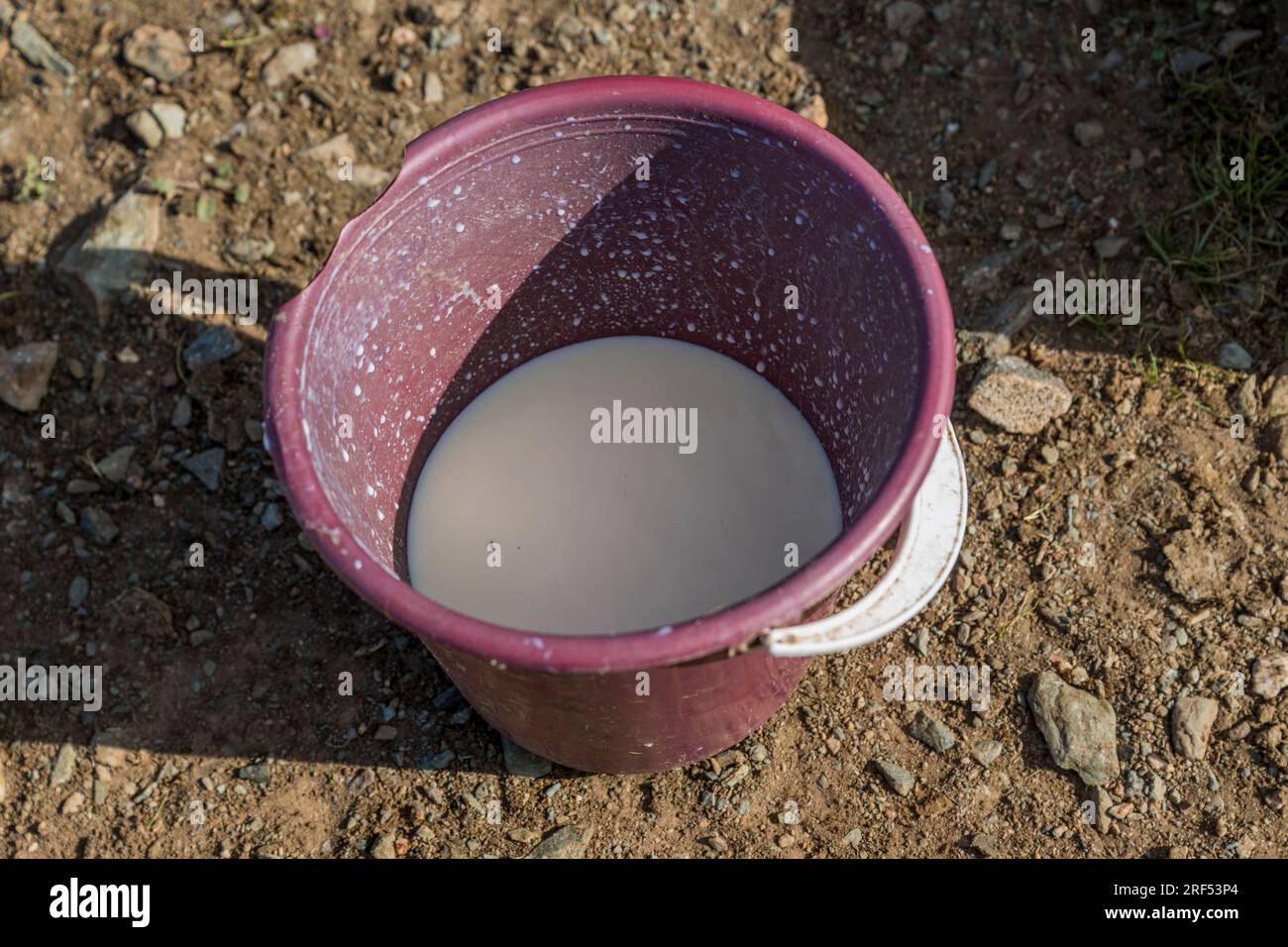 Yak milk central asia hi-res stock photography and images - Alamy