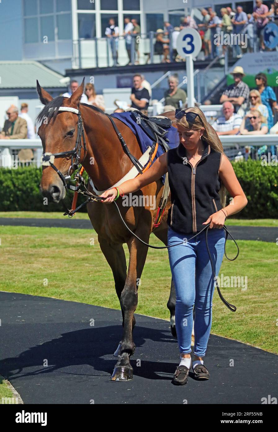 Newton abbot racecourse hi-res stock photography and images - Alamy
