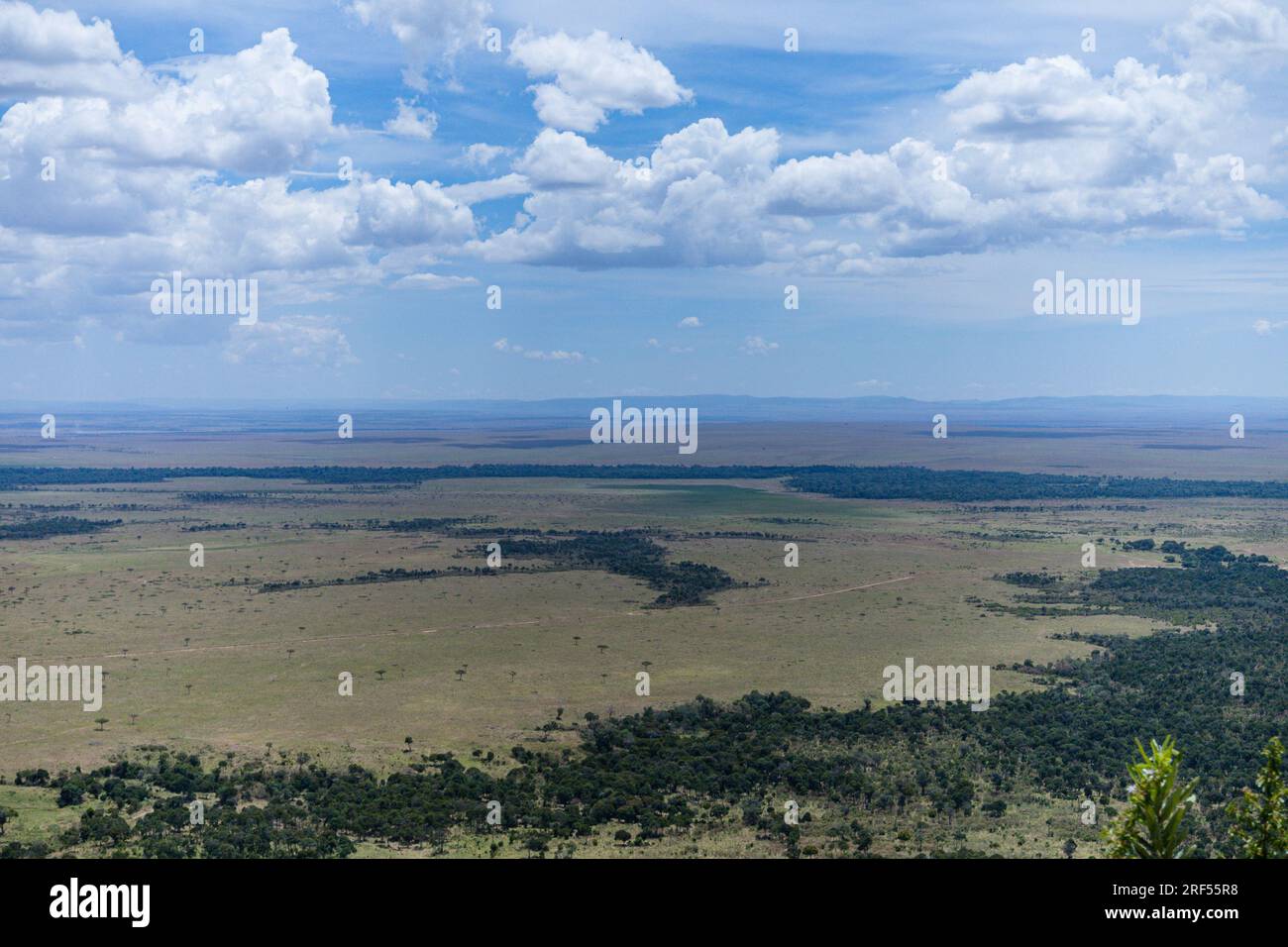 Narok farm hi-res stock photography and images - Alamy
