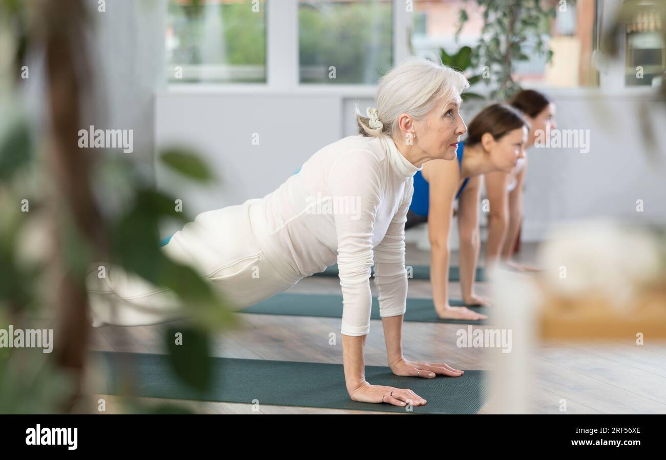 Concentrated mature woman standing in Dolphin Plank Pose or Makara Adho ...