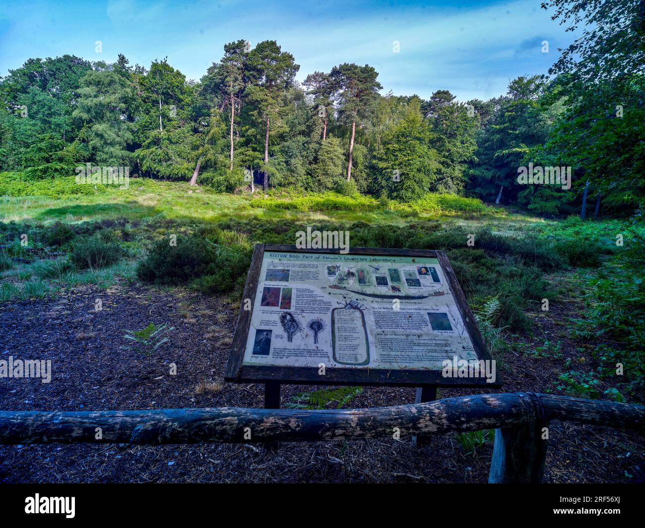 Kent bog and heathland hi-res stock photography and images - Alamy
