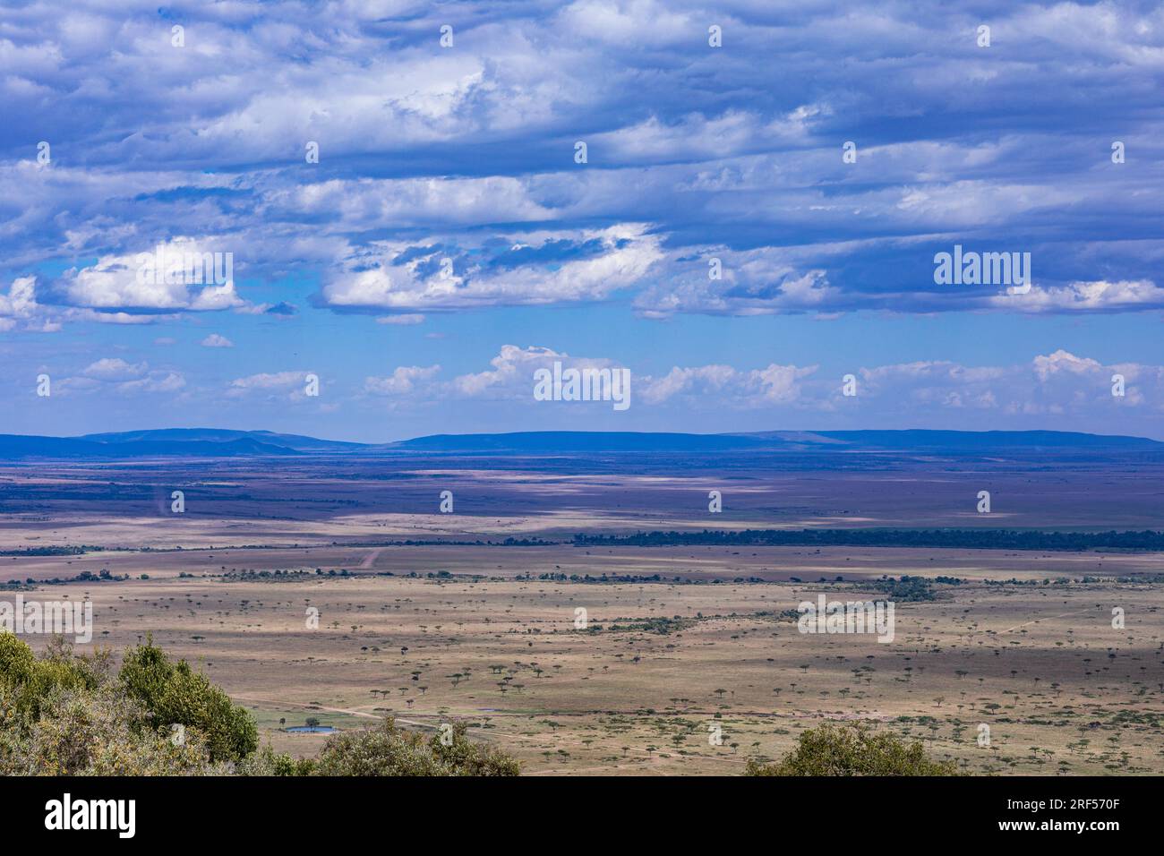 Kenyan Landscapes In Angama Mara Maasai Mara National Game Reserve Park ...