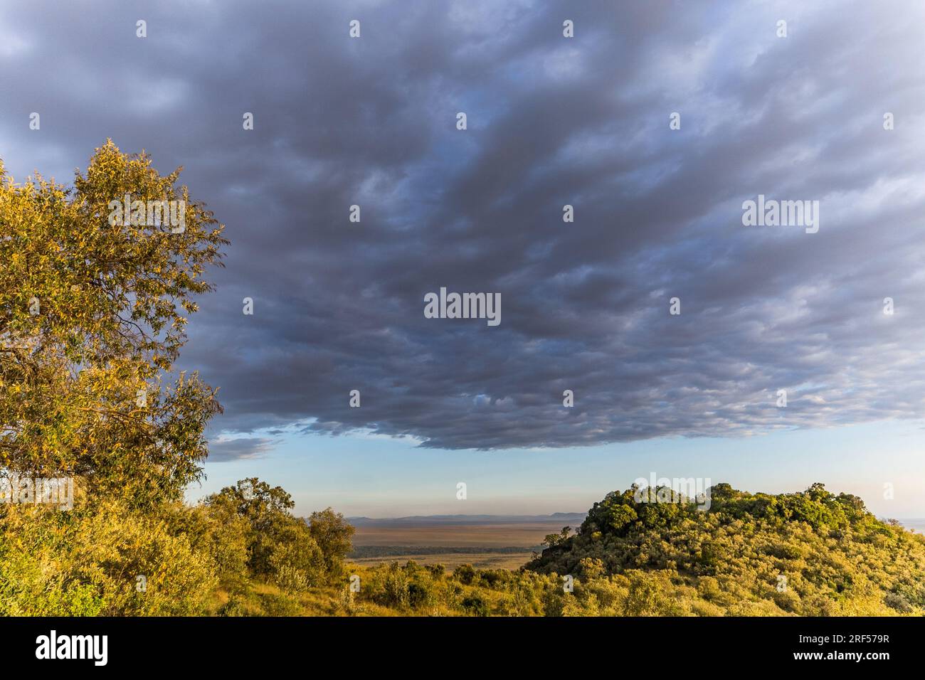 Kenyan Landscapes In Angama Mara Maasai Mara National Game Reserve Park ...