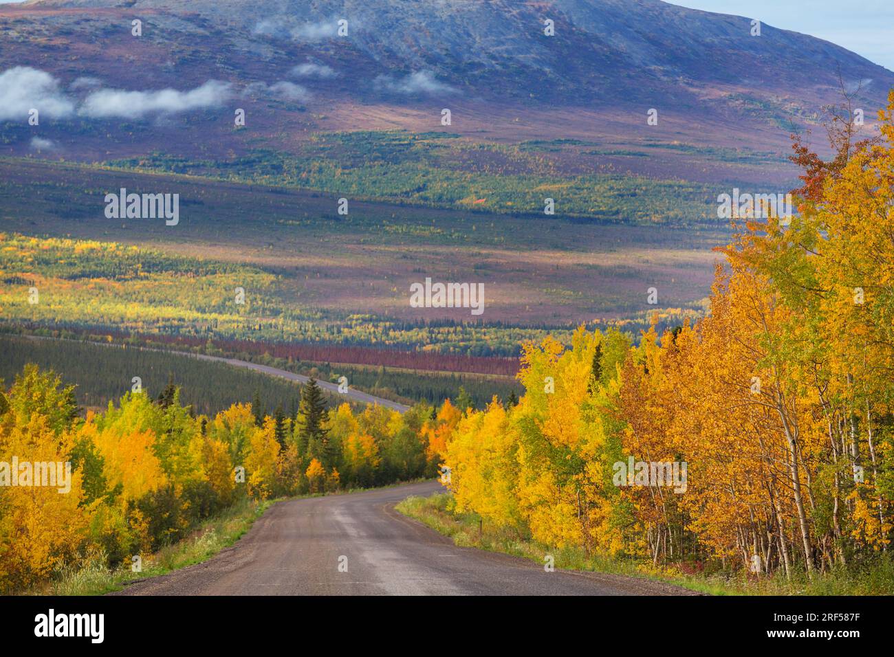 Tundra landscapes above Arctic circle in autumn season. Beautiful ...