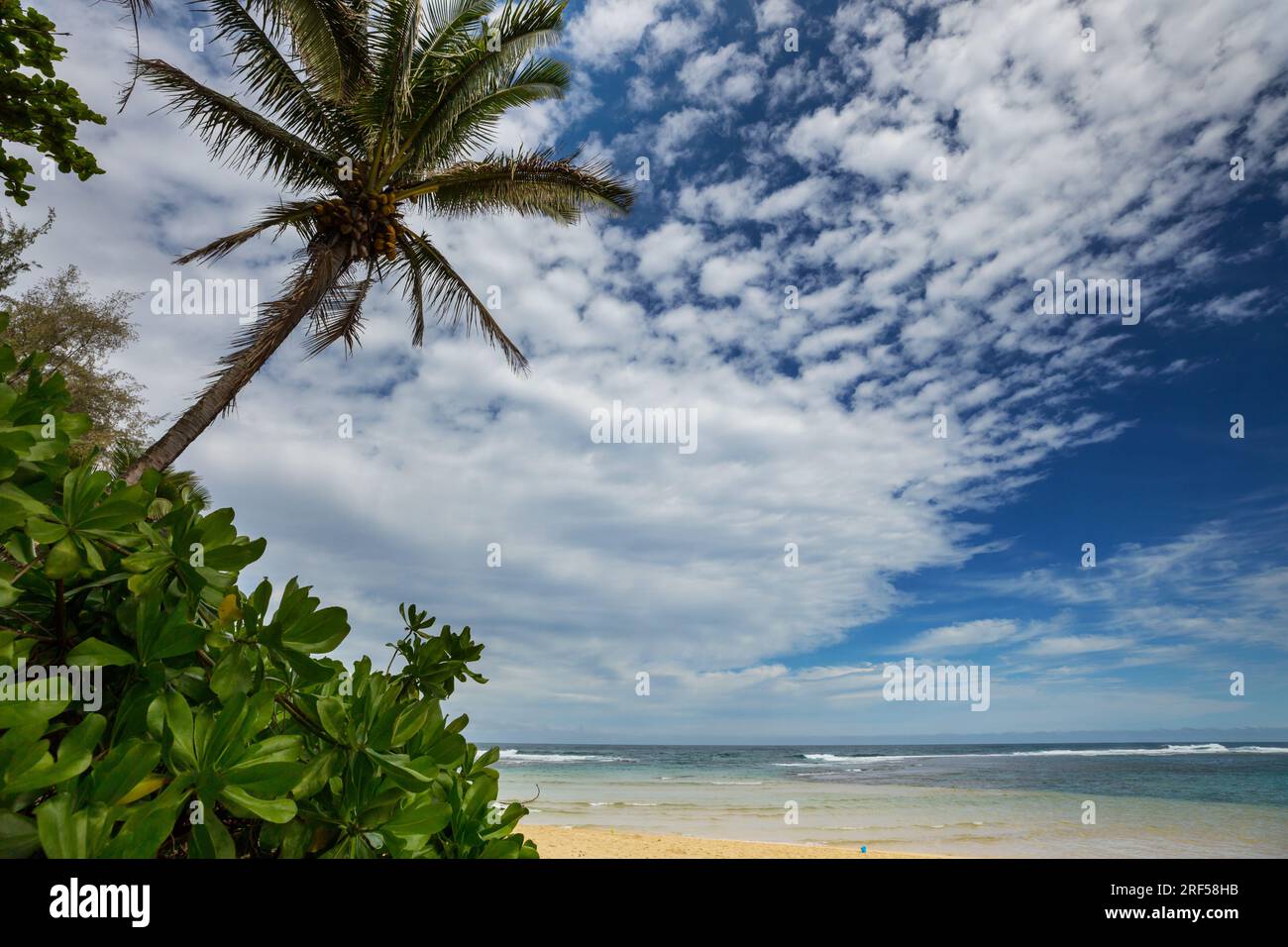 Amazing hawaiian beach in the sunny day Stock Photo - Alamy
