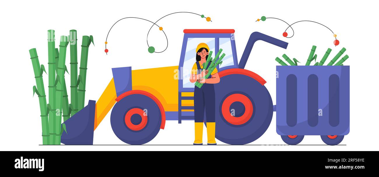 Woman with sugar production vector concept Stock Vector Image & Art - Alamy