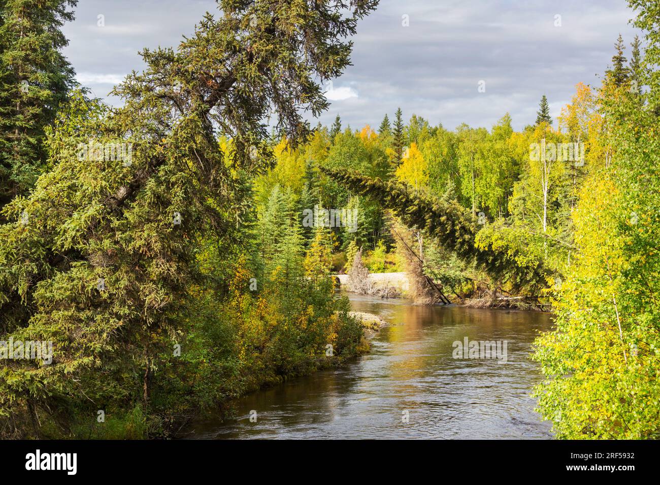Beautiful blue river in mountains, Alaska, USA Stock Photo - Alamy