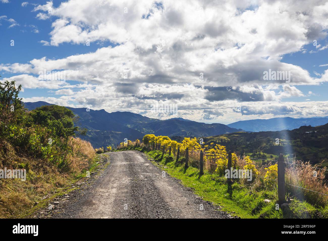 Rural road in the Colombia, South America Stock Photo - Alamy