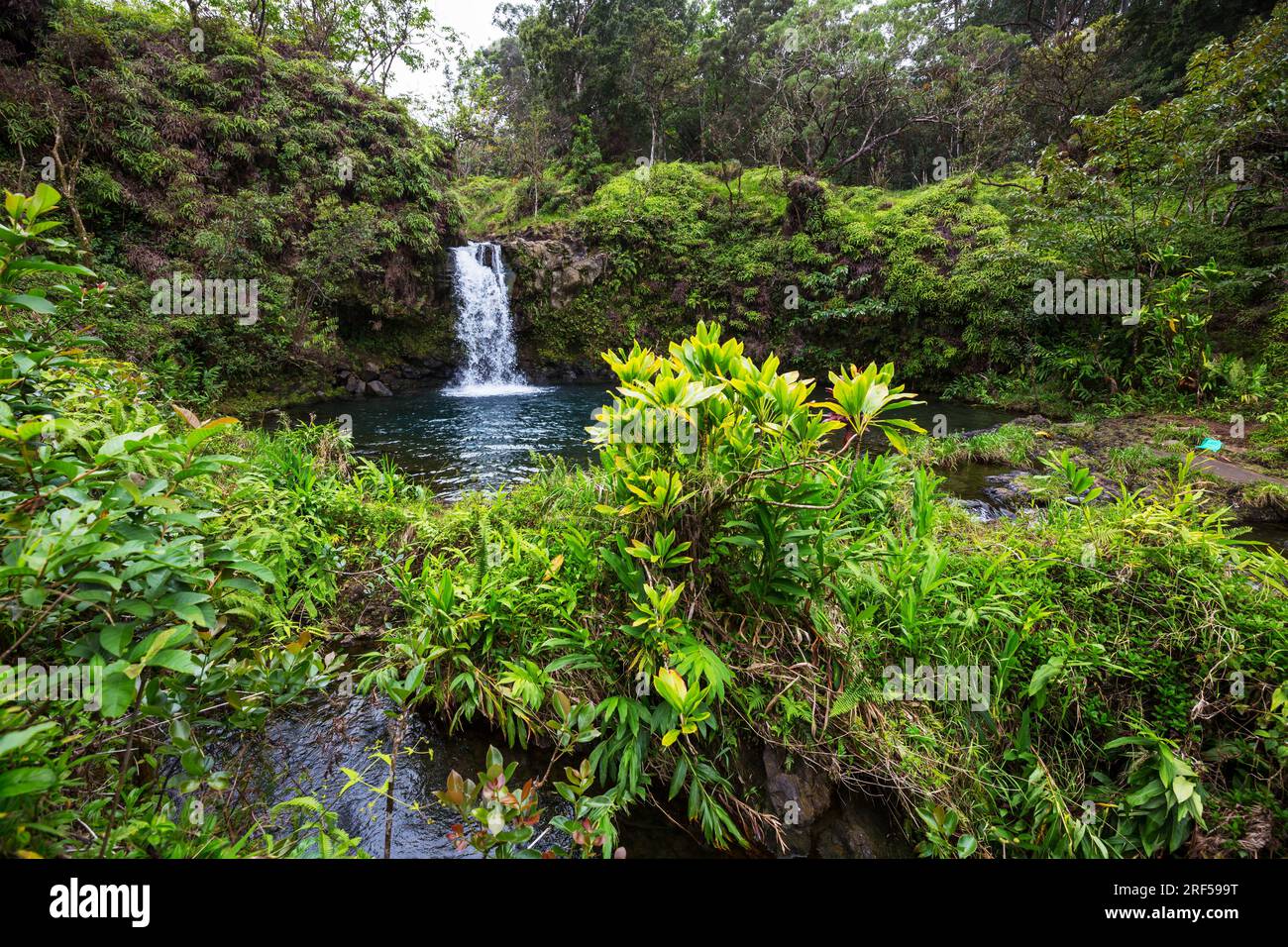 Spring water maui hi-res stock photography and images - Alamy