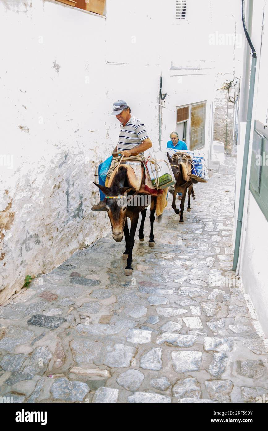Hydra greece donkey rides hi-res stock photography and images - Alamy