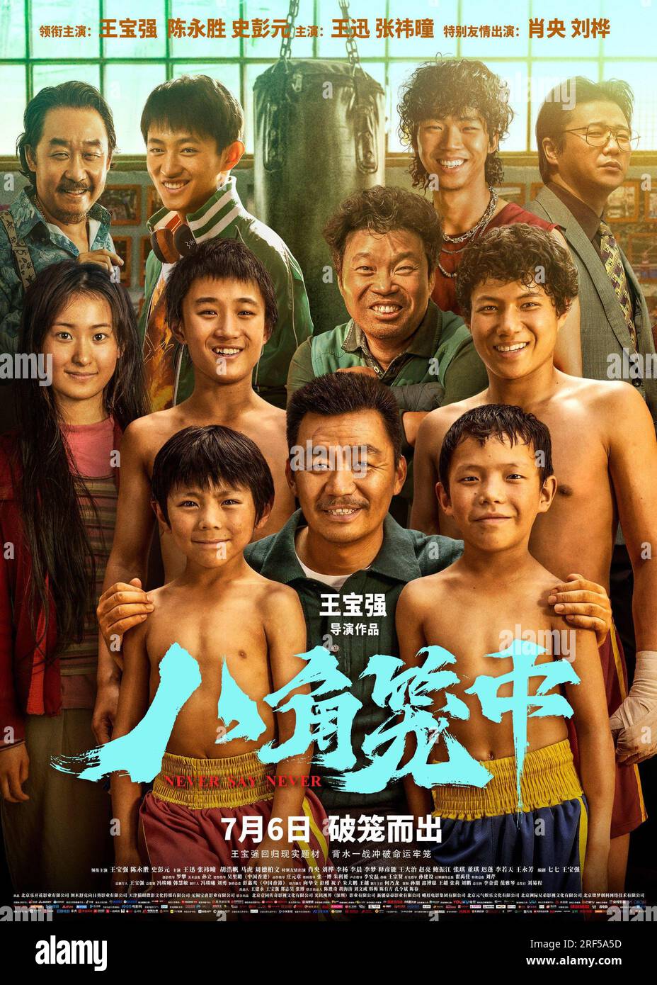 NEVER SAY NEVER, (aka BA JIAO LONG ZHONG), Chinese poster, WANG ...