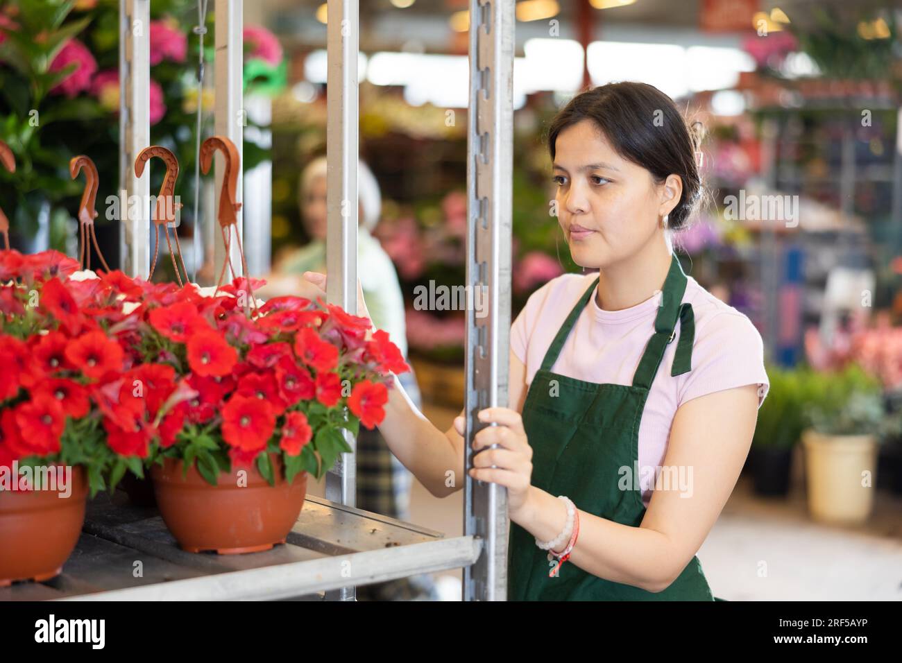 Female worker in flower greenhouse moves rack with houseplants Stock ...