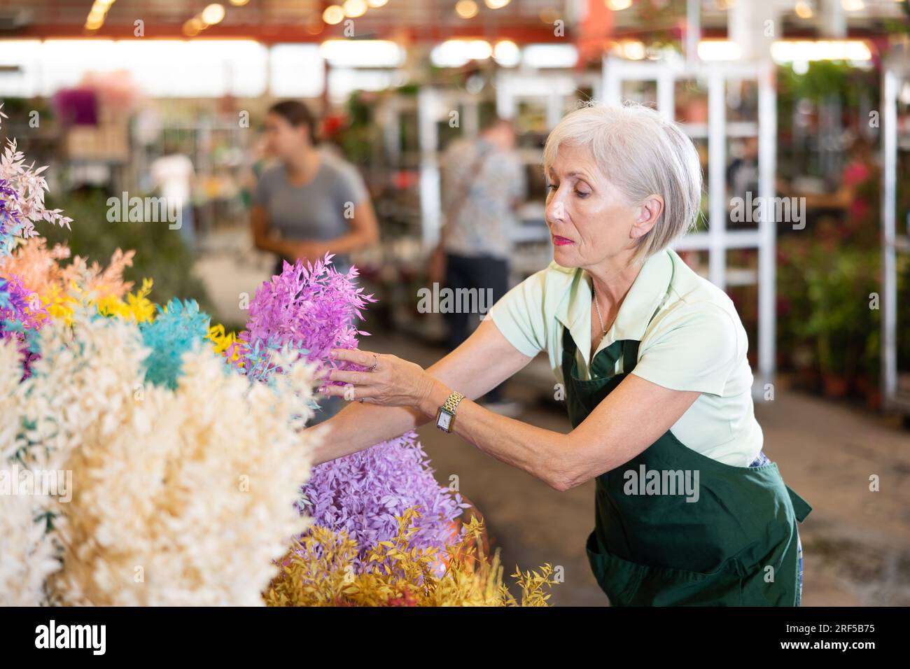 Aged female florist arranging colorful dried Italian ruscus at flower ...