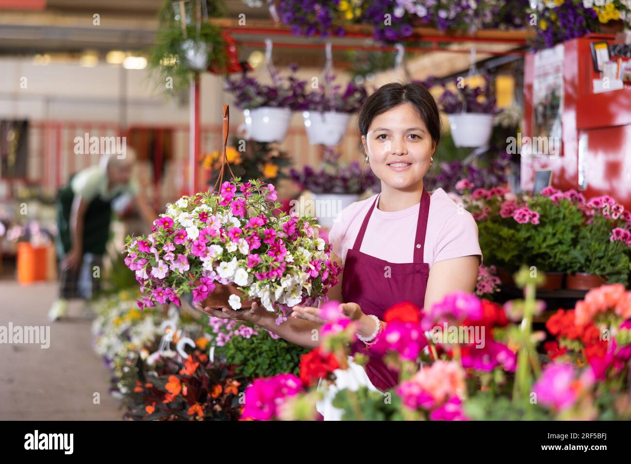 Female gardener arranging potted Petunia flowers for market and wearing ...