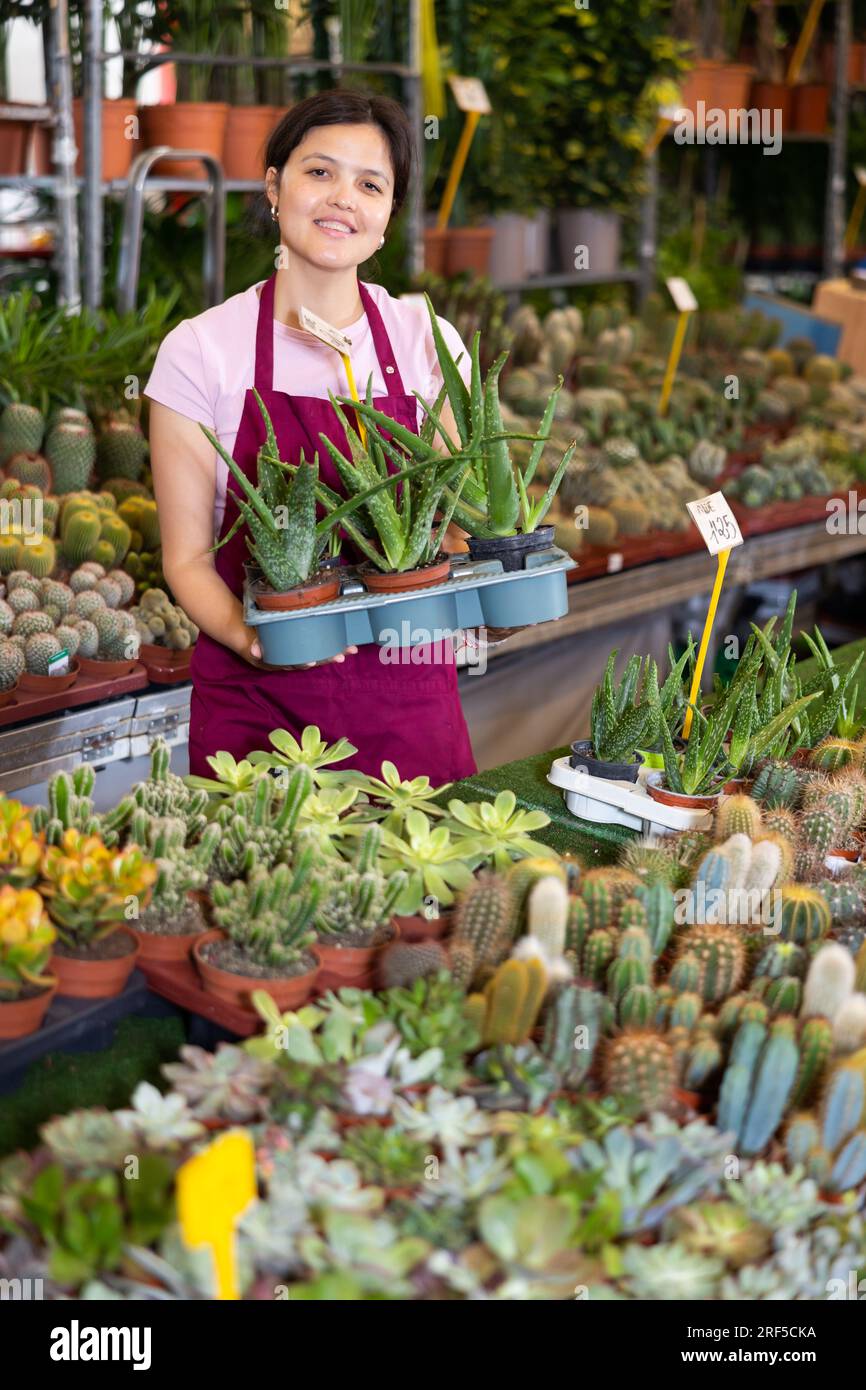 Flower shop female seller holding cactus pots at flower market Stock ...