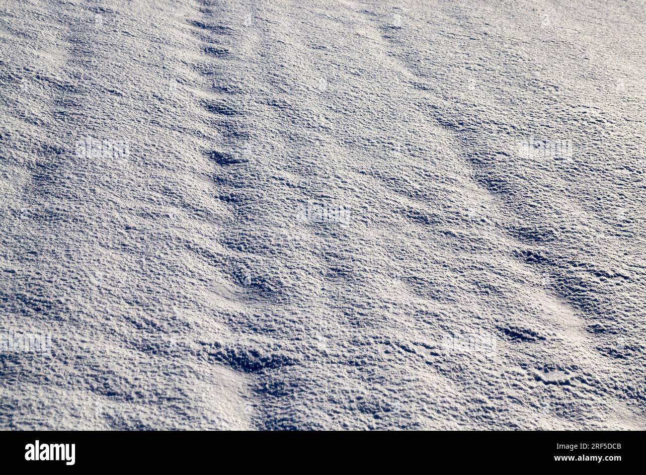 the road in the winter season, the roadway is covered with melted snow ...