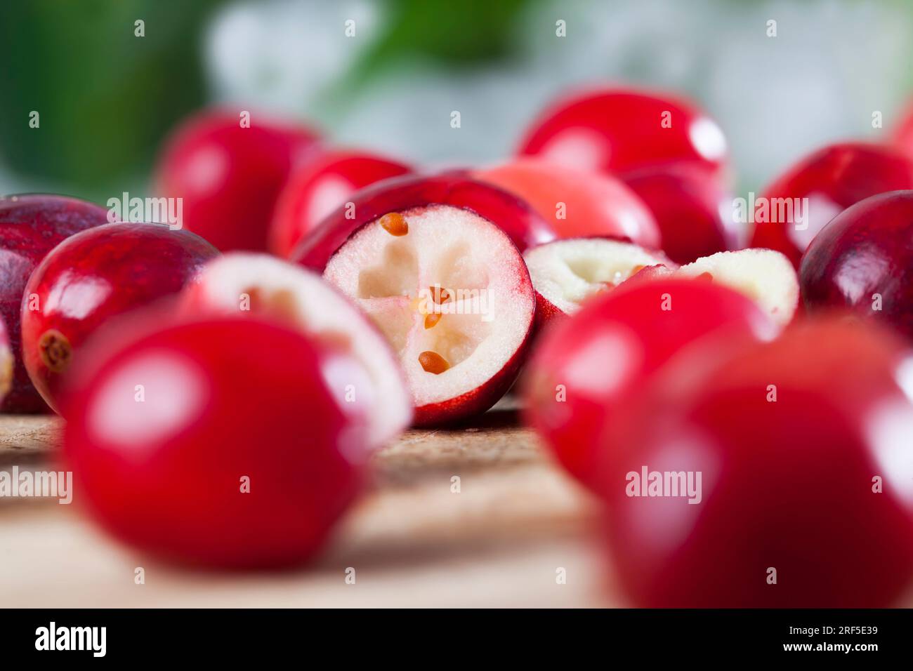 pulp and seeds of mature sour cranberries, cranberry berries divided ...