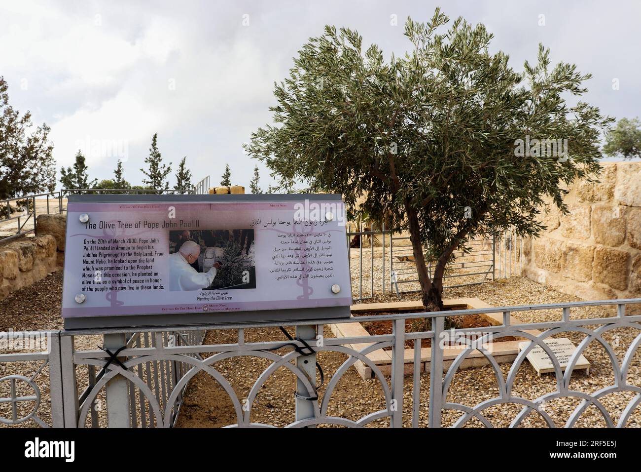 Mount Nebo, Madaba, Jordan : (the olive tree op pope John Paul 2 ...