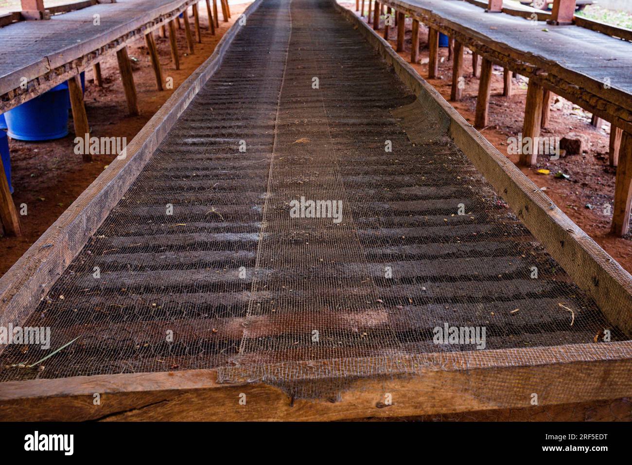 coffee dryer greenhouse solar dryer Structure for drying the coffee ...