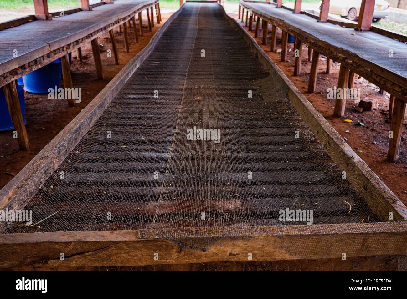 coffee dryer greenhouse solar dryer Structure for drying the coffee ...
