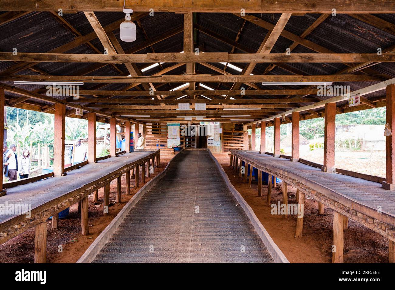 coffee dryer greenhouse solar dryer Structure for drying the coffee ...