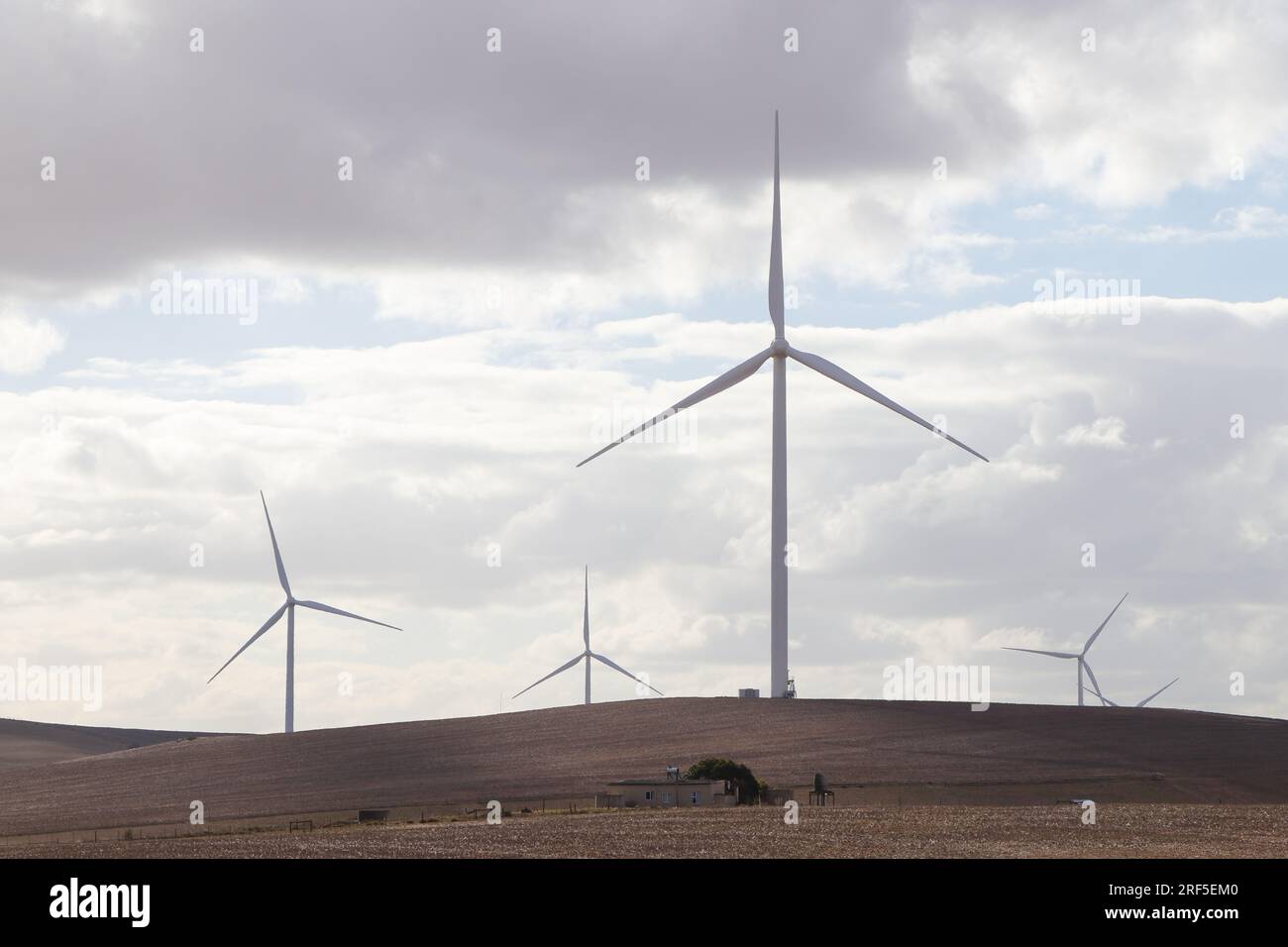 Wind Power Turbines Towering Over Rural Farmland Stock Photo - Alamy