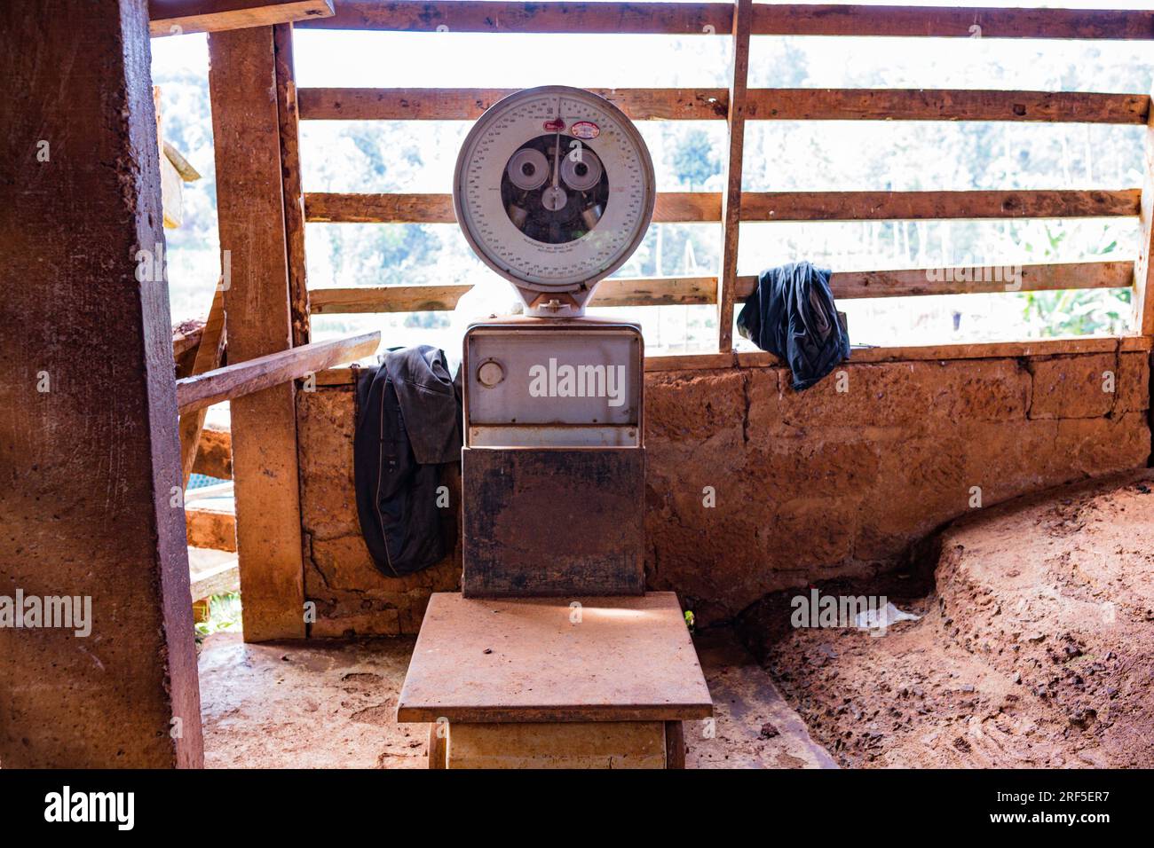 coffee dryer greenhouse solar dryer Structure for drying the coffee ...