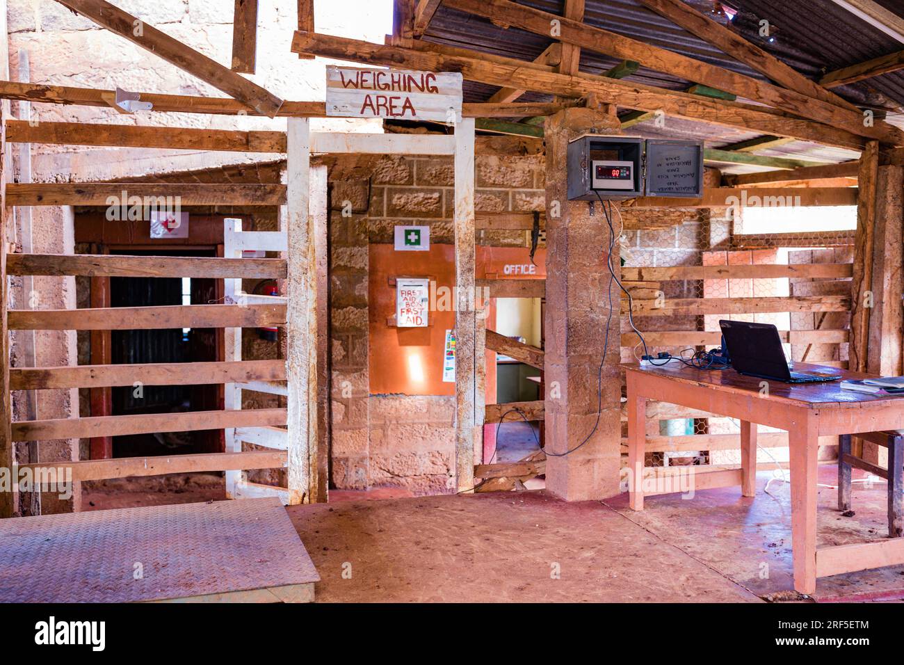 coffee dryer greenhouse solar dryer Structure for drying the coffee ...
