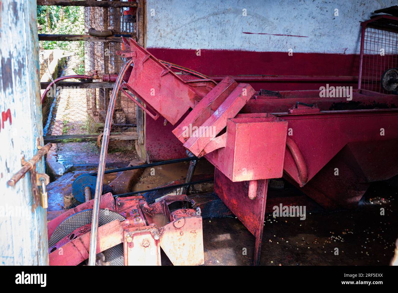coffee dryer greenhouse solar dryer Structure for drying the coffee ...
