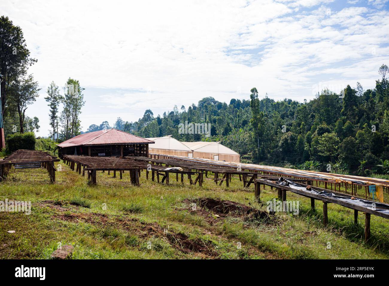 coffee dryer greenhouse solar dryer Structure for drying the coffee ...