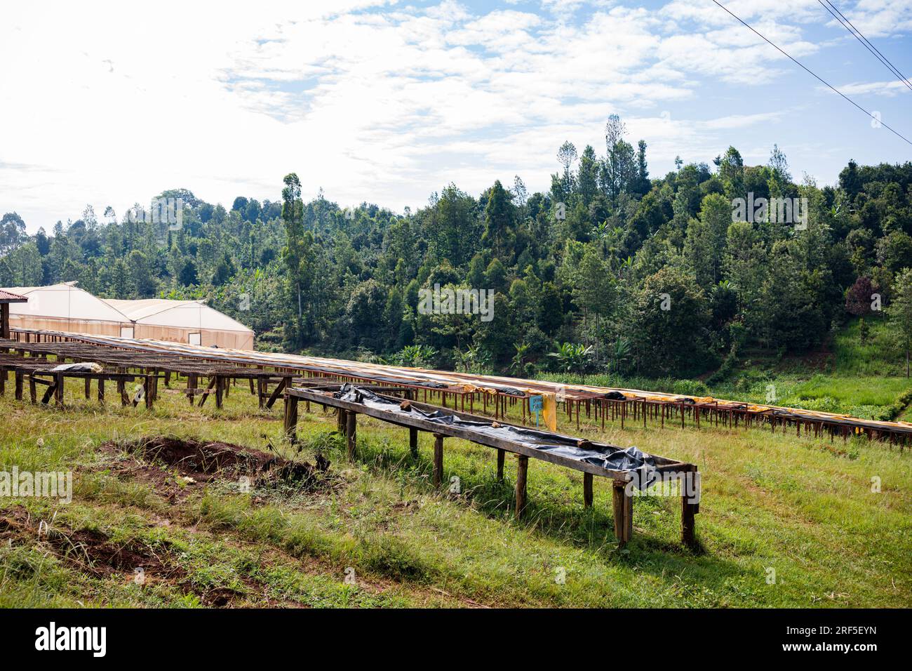 coffee dryer greenhouse solar dryer Structure for drying the coffee ...