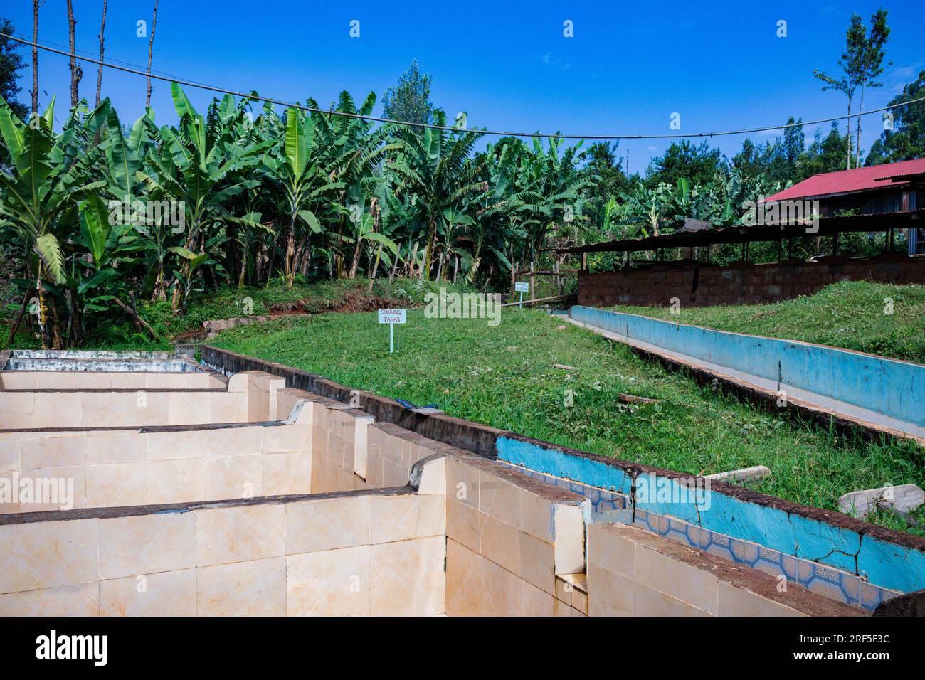 coffee dryer greenhouse solar dryer Structure for drying the coffee ...