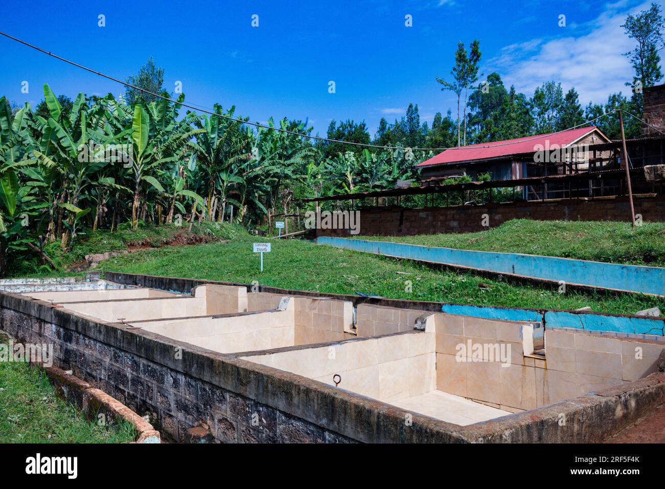 coffee dryer greenhouse solar dryer Structure for drying the coffee ...