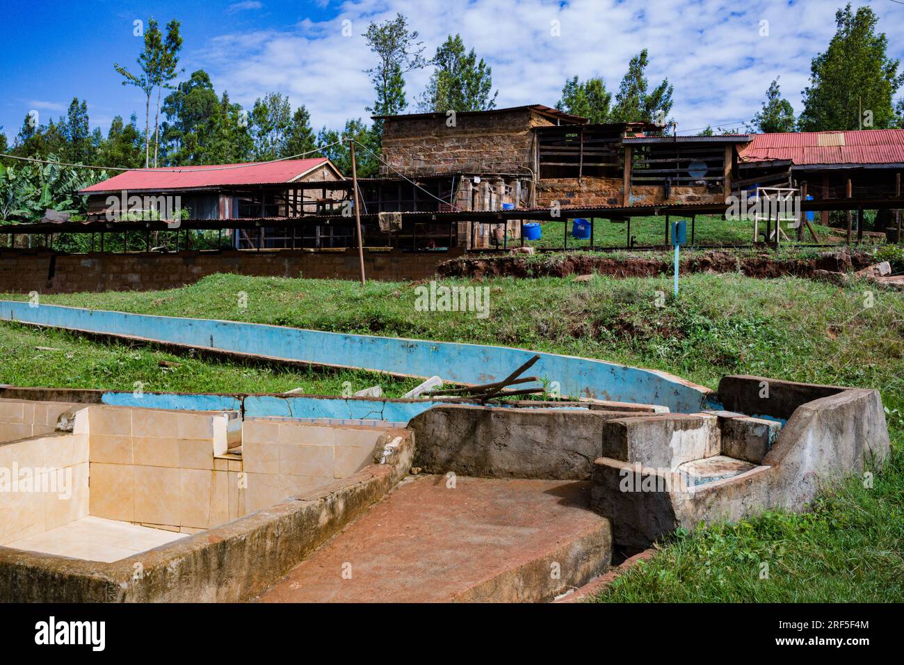 coffee dryer greenhouse solar dryer Structure for drying the coffee ...