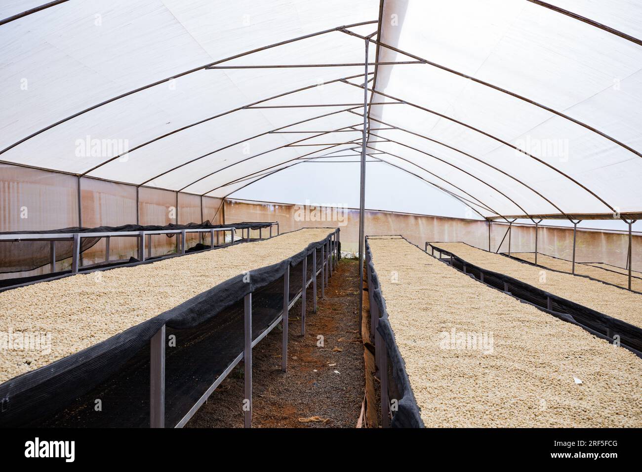 coffee dryer greenhouse solar dryer Structure for drying the coffee ...
