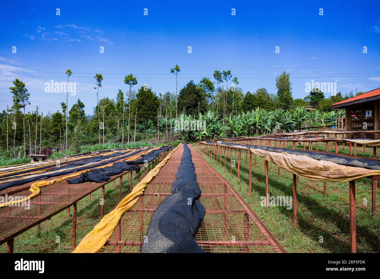 coffee dryer greenhouse solar dryer Structure for drying the coffee ...