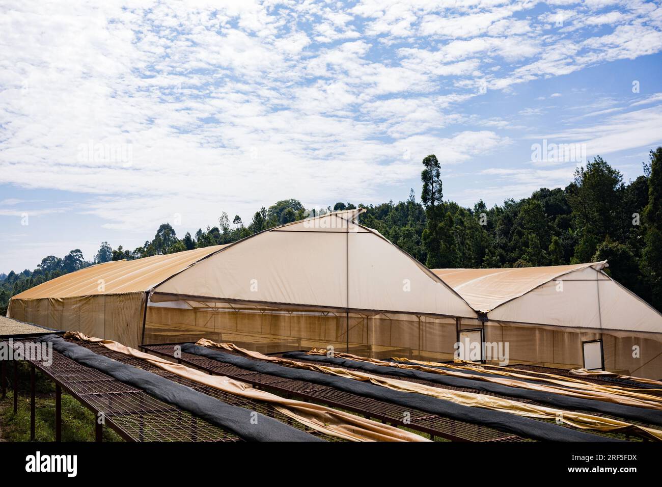 coffee dryer greenhouse solar dryer Structure for drying the coffee ...