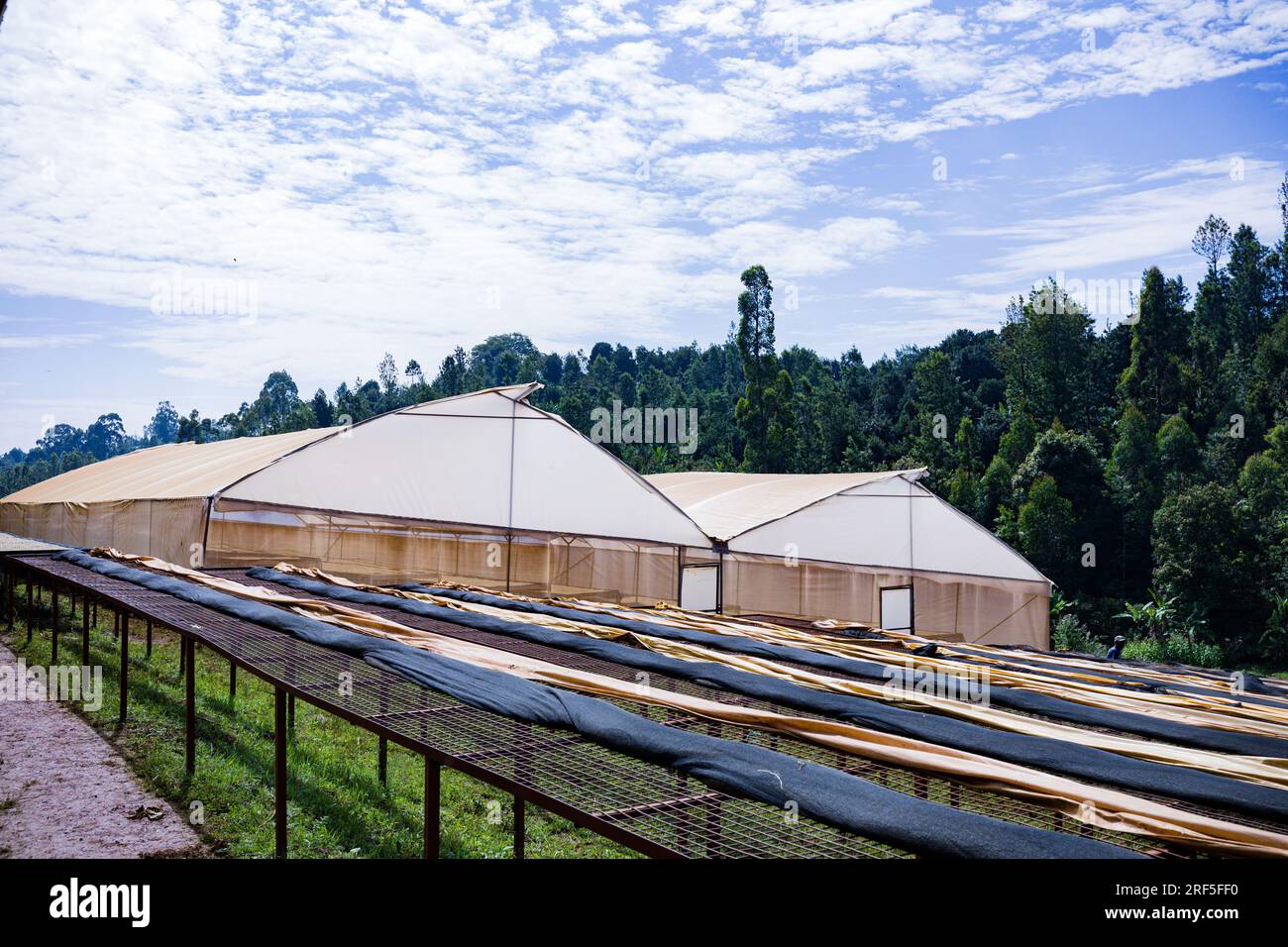 coffee dryer greenhouse solar dryer Structure for drying the coffee ...
