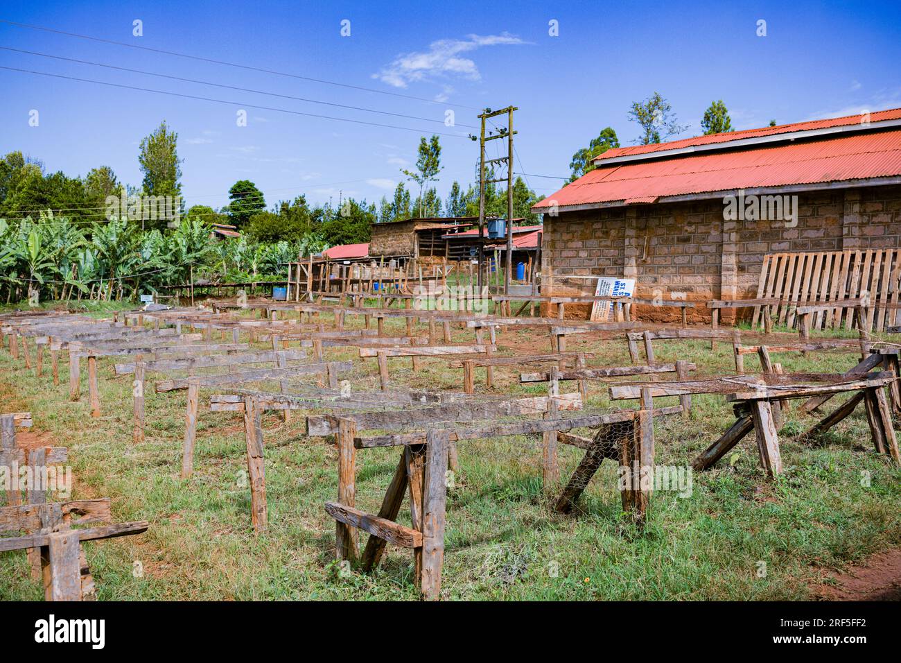 coffee dryer greenhouse solar dryer Structure for drying the coffee ...