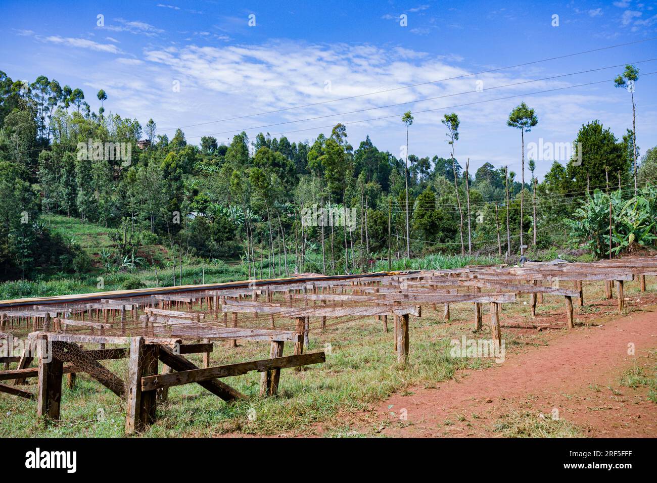 coffee dryer greenhouse solar dryer Structure for drying the coffee ...