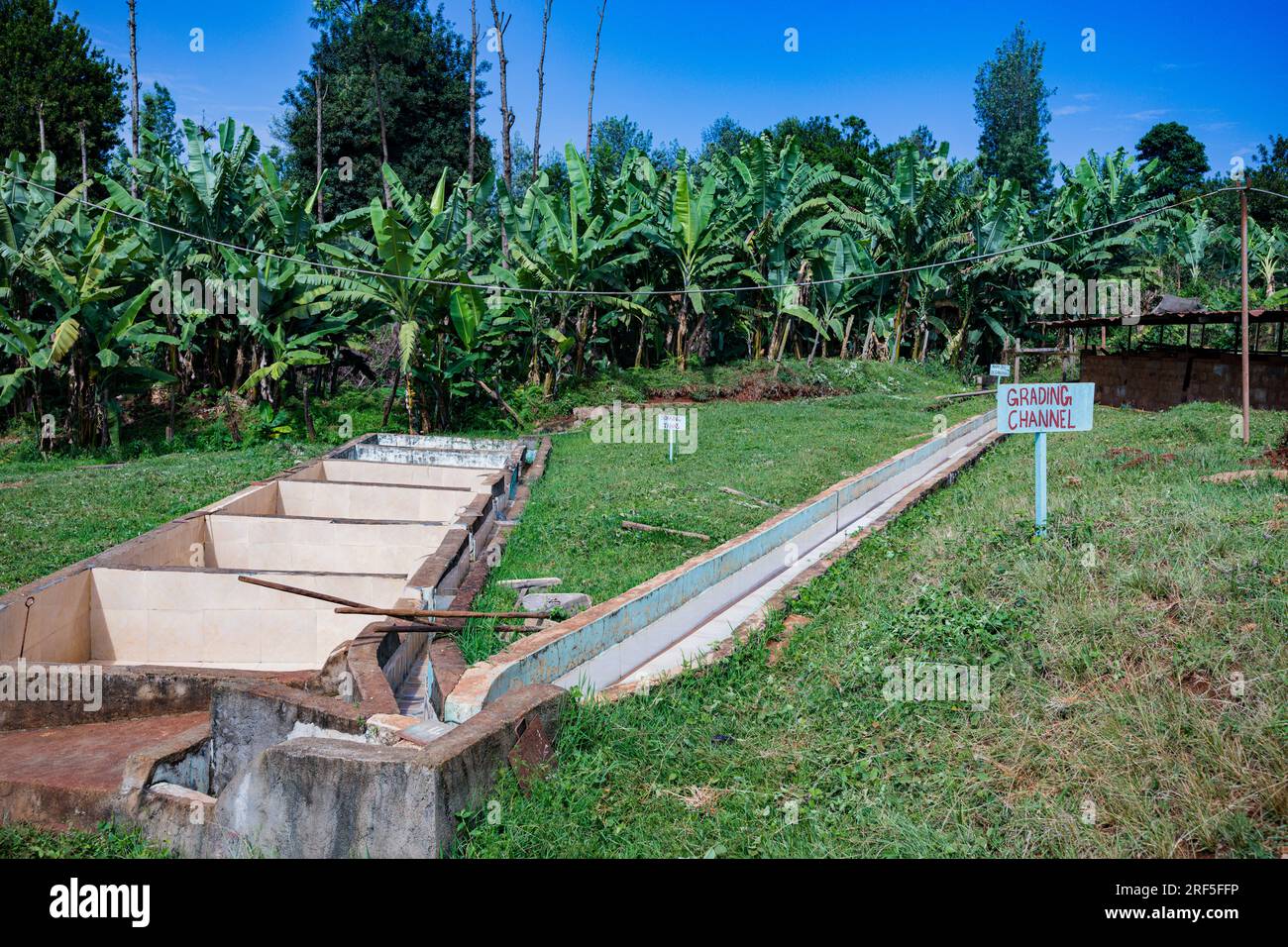 coffee dryer greenhouse solar dryer Structure for drying the coffee ...