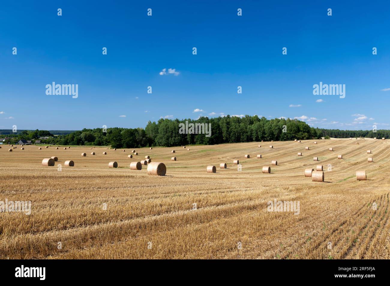 farmers activities and agricultural enterprises Stock Photo - Alamy