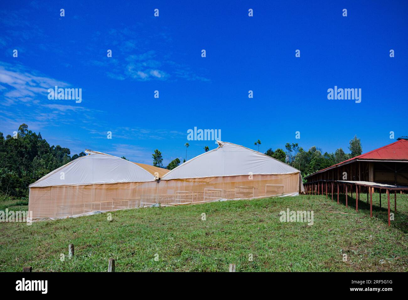 coffee dryer greenhouse solar dryer Structure for drying the coffee ...