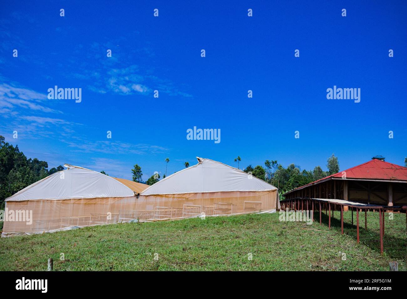 coffee dryer greenhouse solar dryer Structure for drying the coffee ...