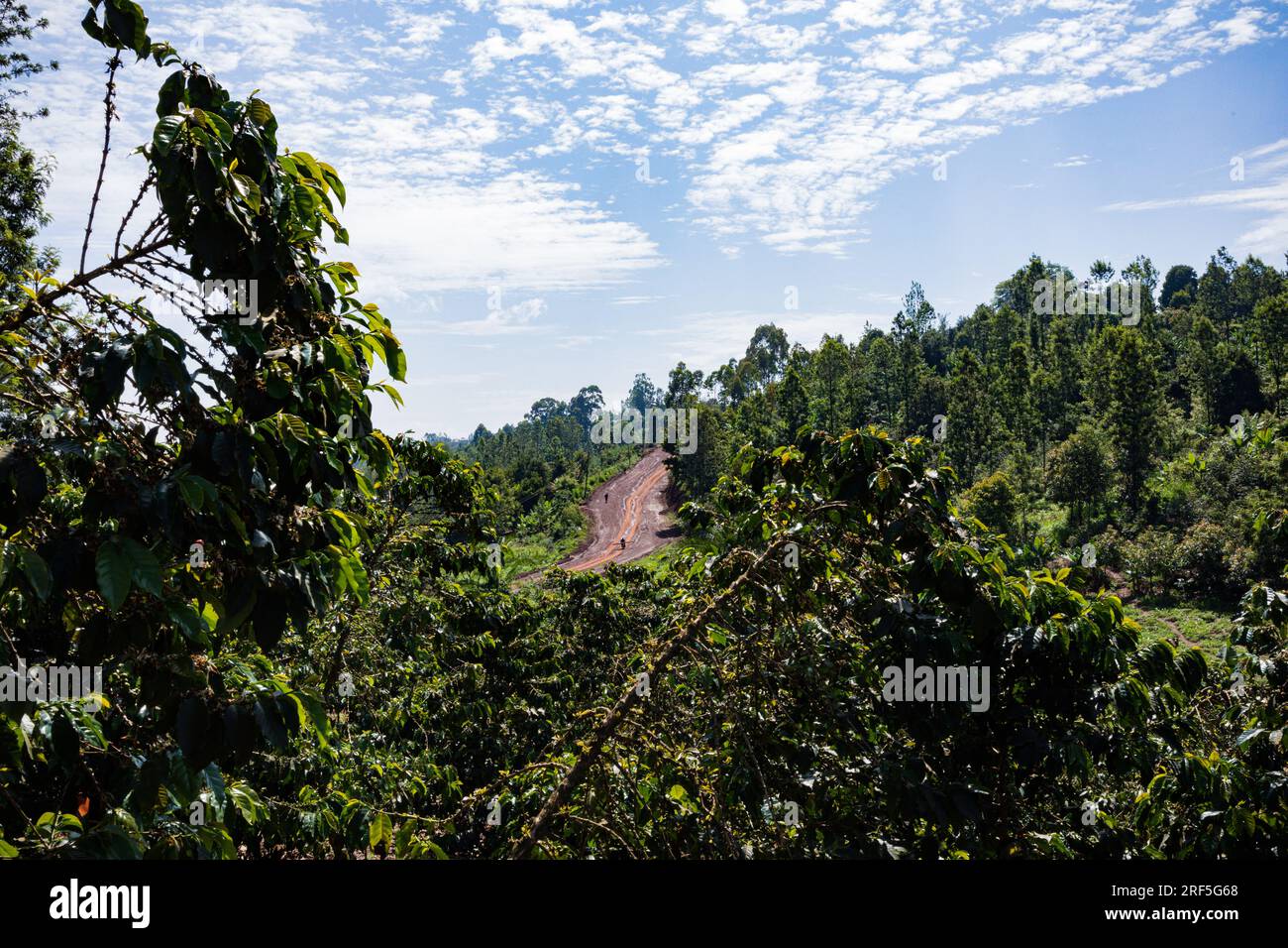 White farmer kenya hi-res stock photography and images - Alamy