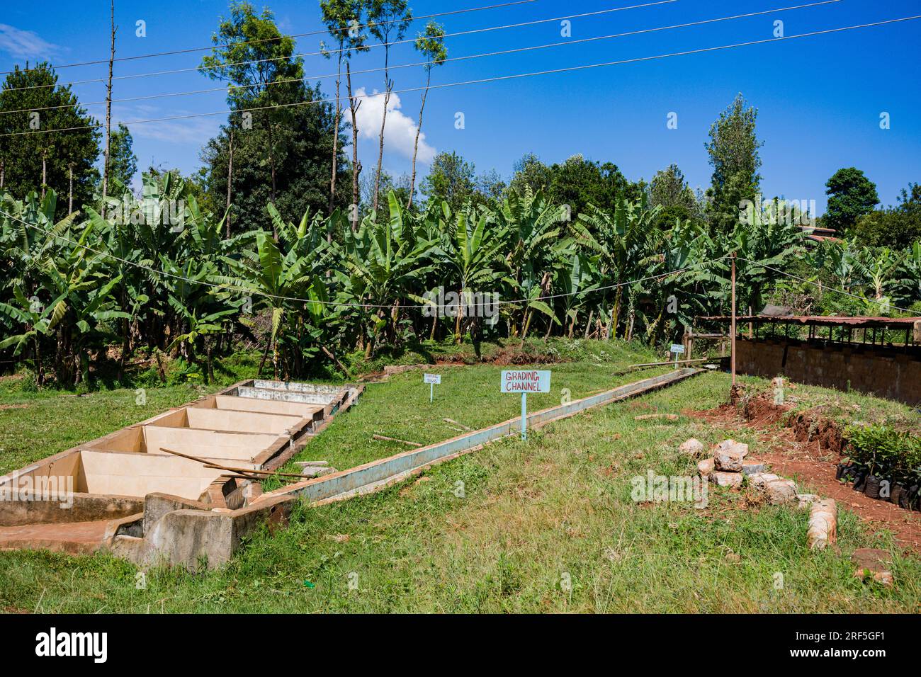 coffee dryer greenhouse solar dryer Structure for drying the coffee ...